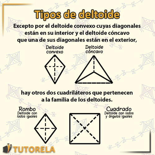 Deltoide | Tutorela