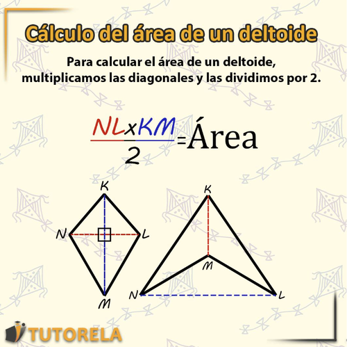 Deltoide | Tutorela