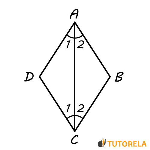 Deltoide | Tutorela